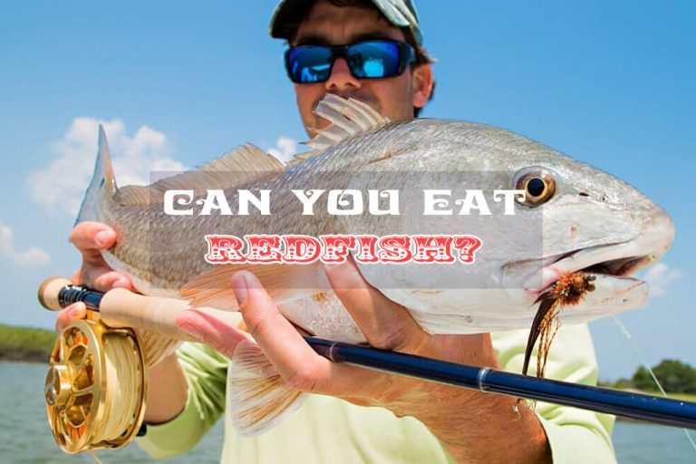 Can You Eat Redfish