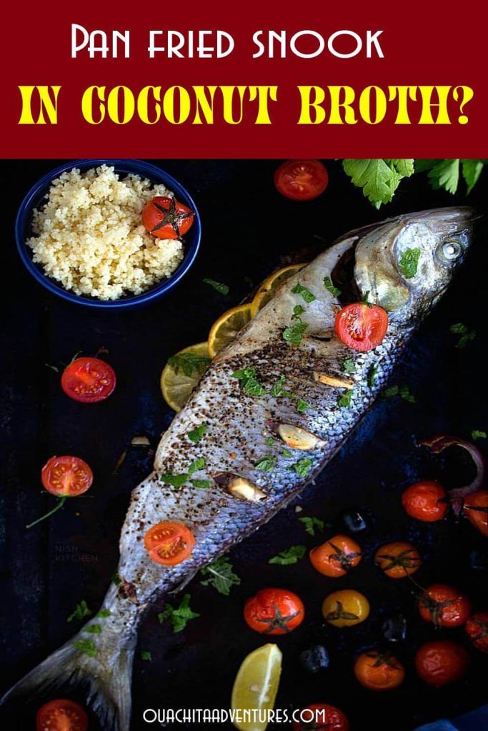 Can You Eat Snook? Is It Safe to Eat? | Ouachita ...