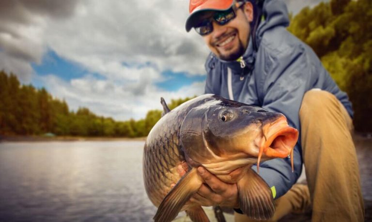 Can You Eat Carp & How Does Carp Taste? | Ouachitaouachitaadventures.com