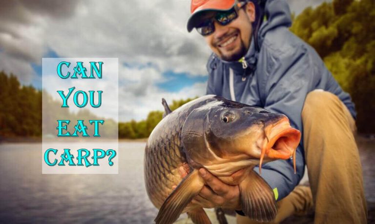 Can You Eat Carp & How Does Carp Taste? | Ouachita
