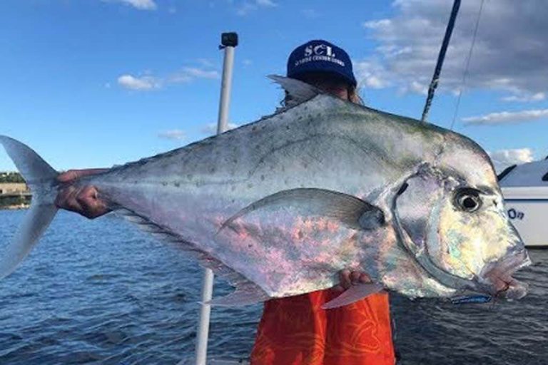 10 Different Types Of Trevally | ouachitaadventures ...