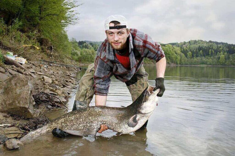 How to Catch Catfish: The Best Fishing Tips | ouachitaadventures ...