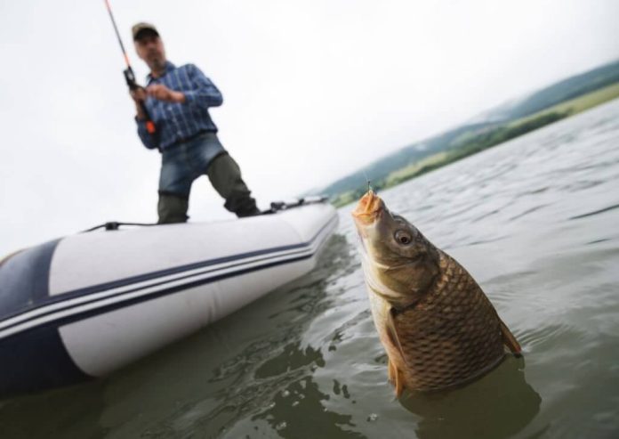 Can You Eat Carp & How Does Carp Taste? | Ouachitaouachitaadventures.com