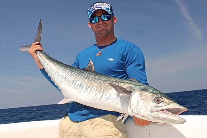 King Mackerel Vs Spanish Mackerel: The Key Difference ...