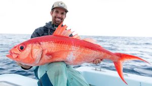 12 Types of Snapper to Catch In Florida: The Quick Guide ...