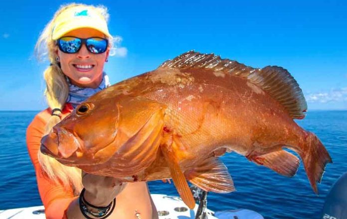 15 Types of Grouper to Catch in Florida | ouachitaadventures ...