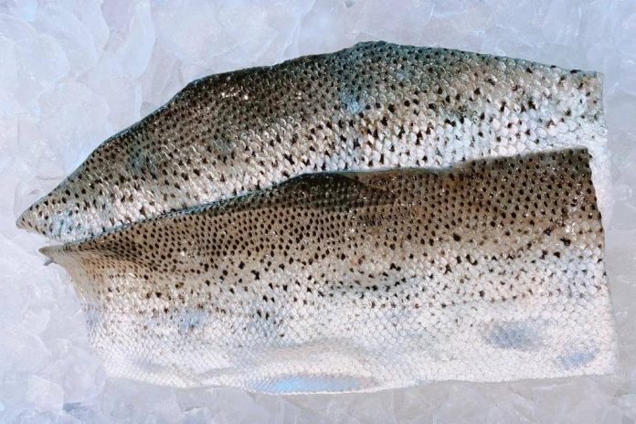 Can You Eat Salmon Skin? | ouachitaadventures.comouachitaadventures.com