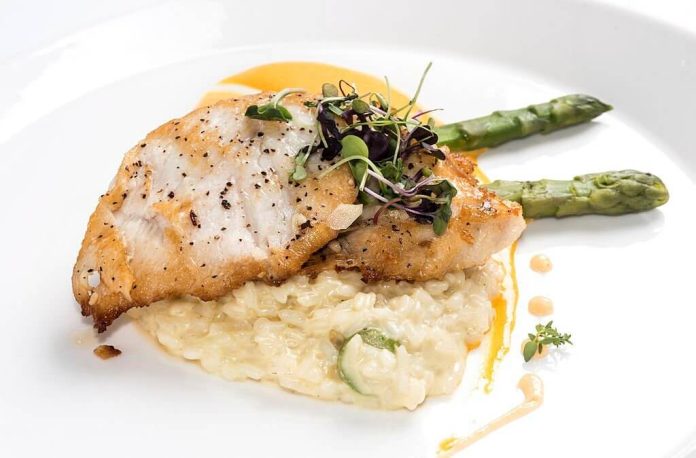 Snapper Vs Grouper - A Comprehensive Guide | ouachitaadventures ...