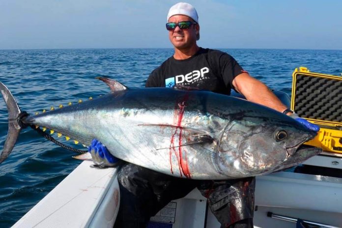 16 Different Types of Tuna - The Complete Guideouachitaadventures.com