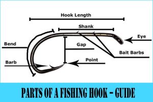 Fishing Hook Types: Everything You Need to Know ...