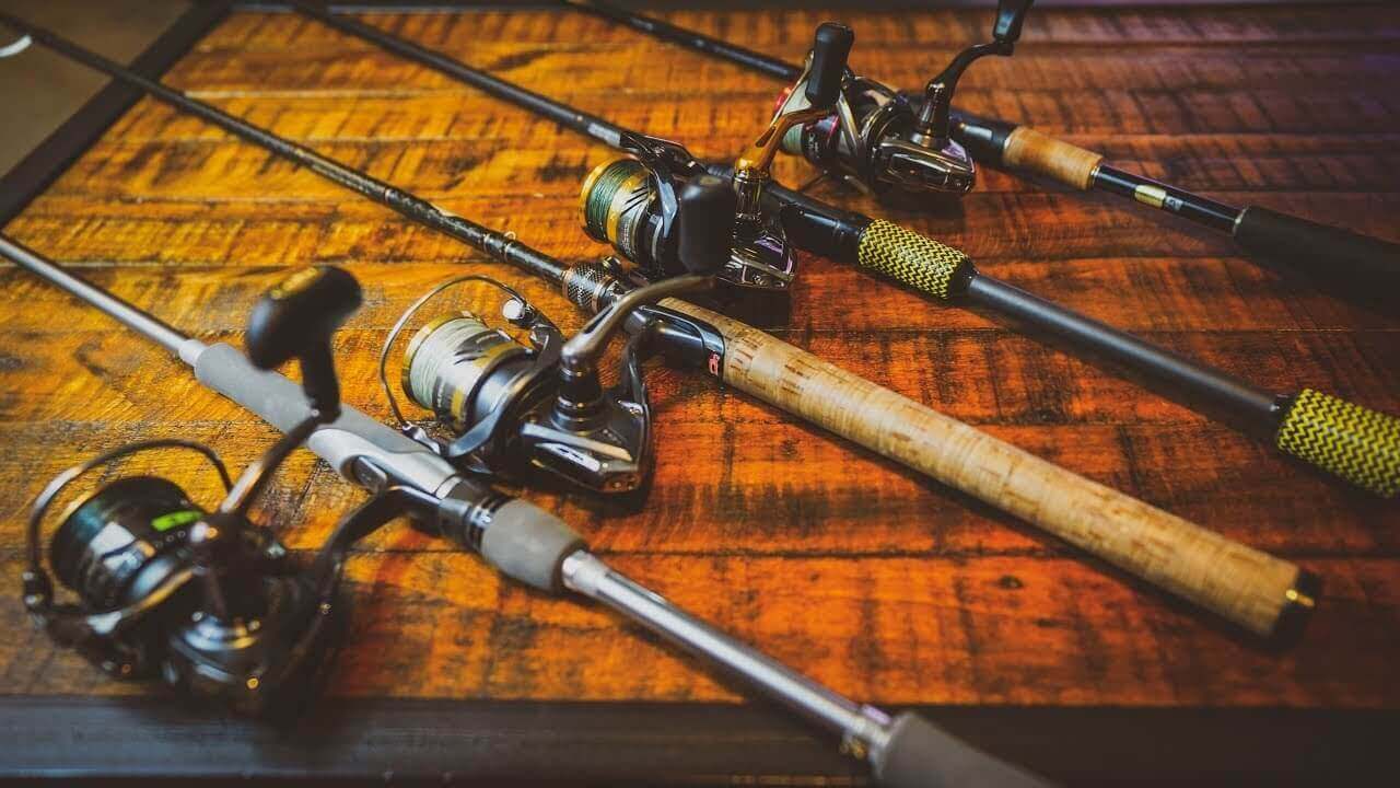 Top 14 Best Shark Fishing Rods For Beginners | ouachitaadventures ...