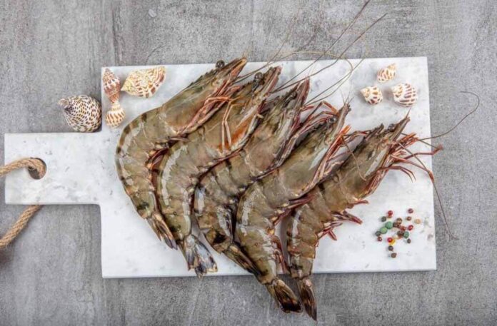 Types of Shrimp and Their Details | ouachitaadventures ...