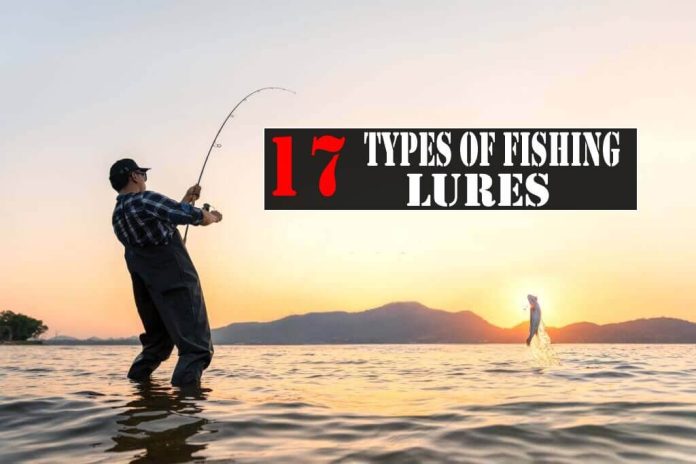 Types of Fishing Lures: Everything You Need to Know ...