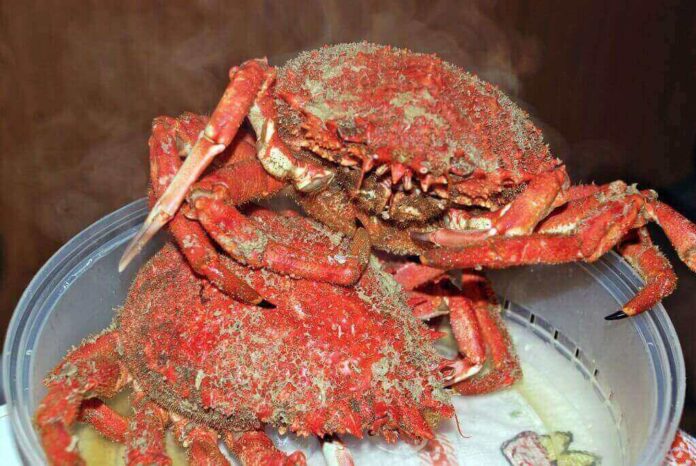 Can You Eat Spider Crabs? How To Catch Them ...