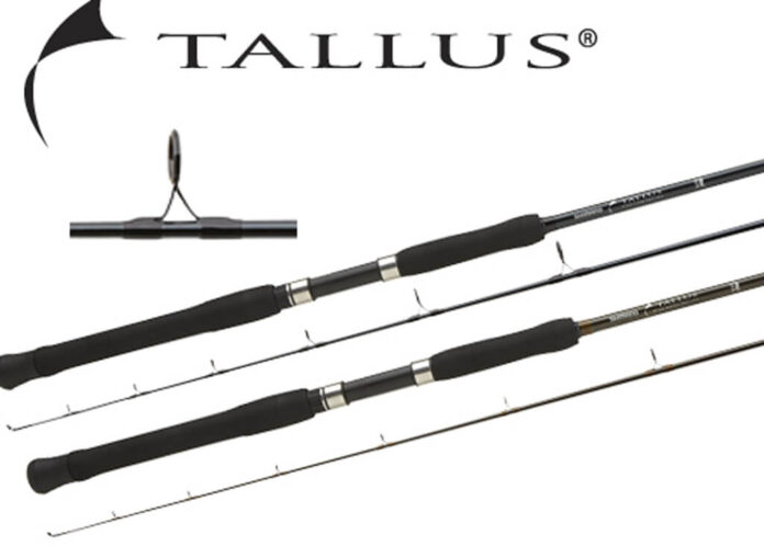 Top 14 Best Shark Fishing Rods For Beginners | ouachitaadventures ...