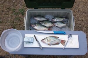 What Do Bluegill Eat? 5+ Interesting Things About ...