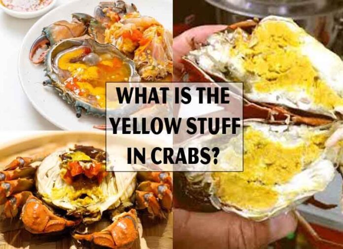 What Is The Yellow Stuff In Crabs? | ouachitaadventures.com